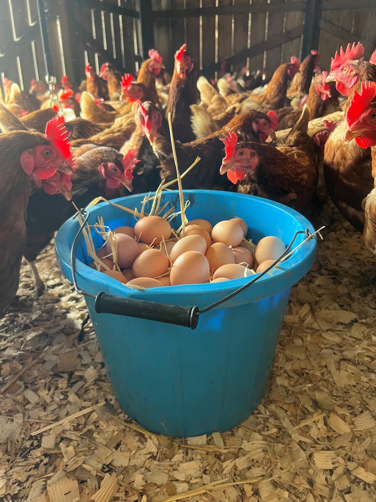 Out and About… Bag End Farm – The Listing Magazine