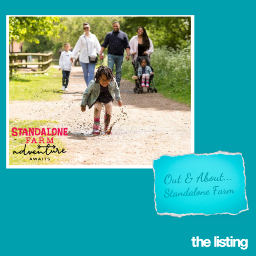 Out & About: New Adventures Await at Standalone Farm! – The Listing ...